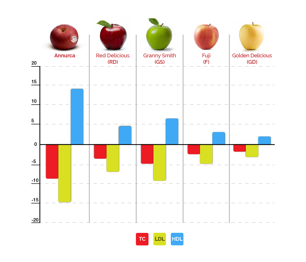 HDL: "il colesterolo buono". Il ruolo della mela annurca